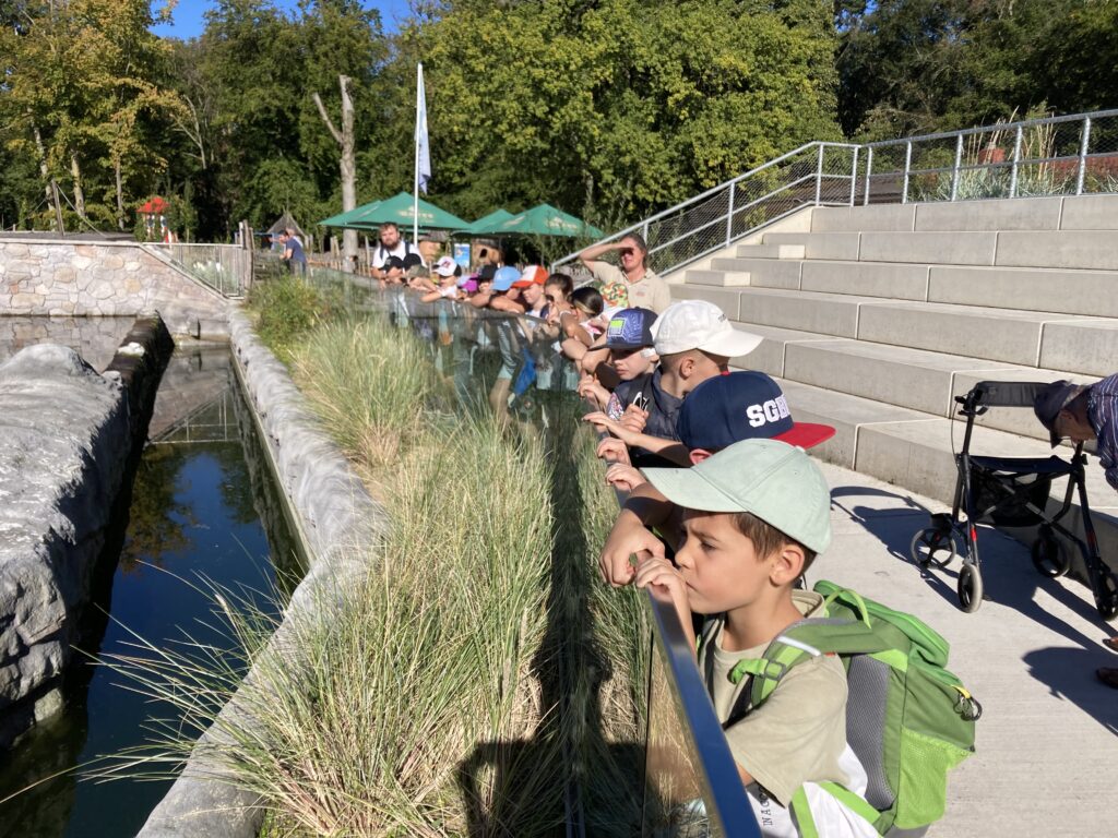 Die 3. Klassen erleben einen tierisch spannenden Tag im Osnabrücker Zoo ...